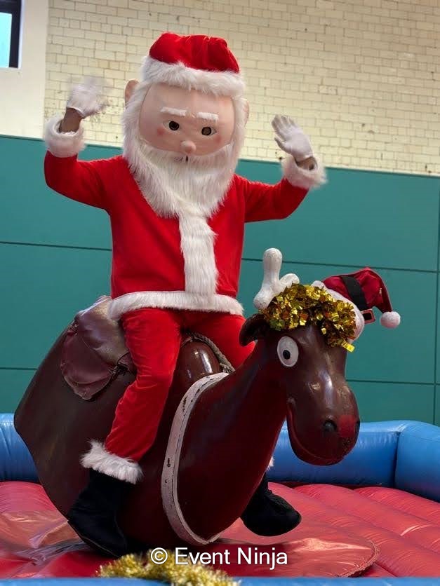 Rodeo Reindeer - up to 4 hour hire - Inflatable Event Equipment Hire in ...